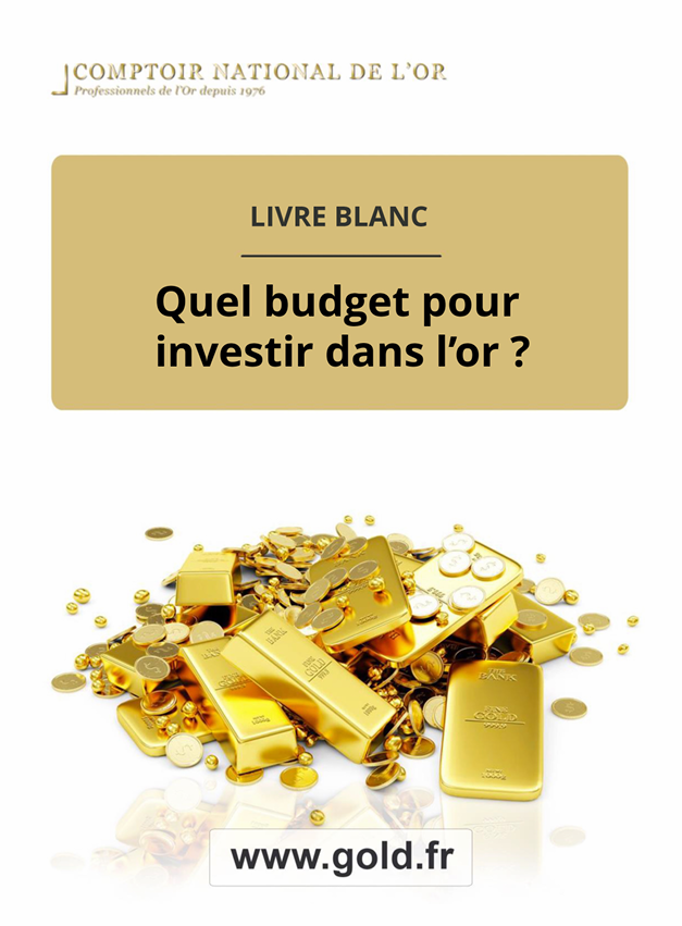 Livre blanc - pourquoi investir dans l'or